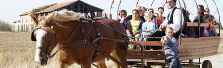 Animations calèche, chariot western, mini-ferme Tarn, Aude, Haute-Garonne